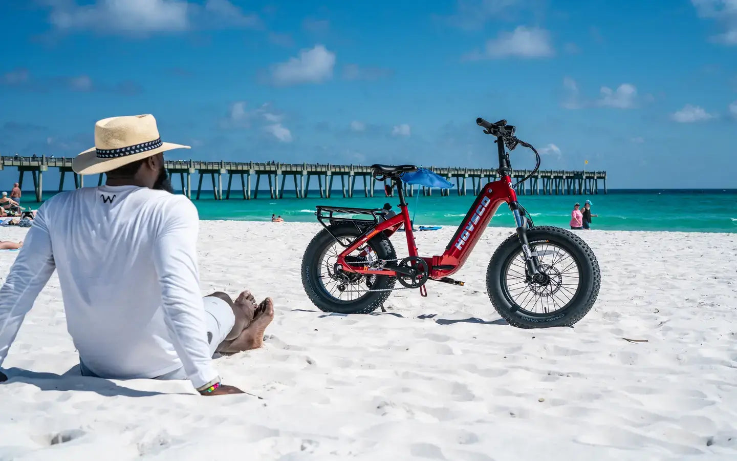 What Are Fat Tire Cargo E-Bike Running Boards? – HOVSCO