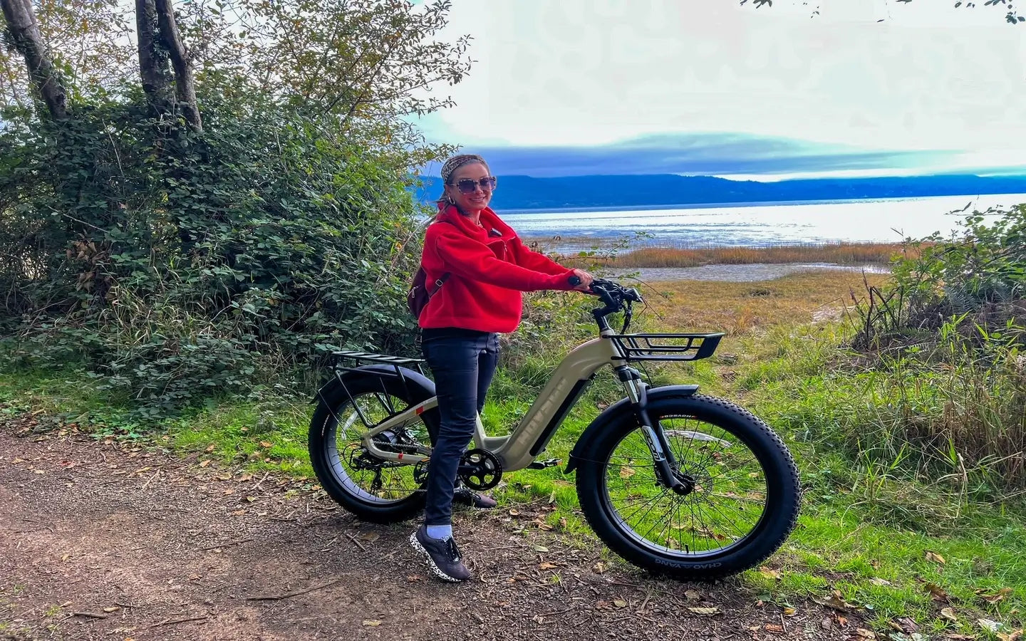 What Are The Best Long-Range Step-Thru Commuter Ebikes? – HOVSCO
