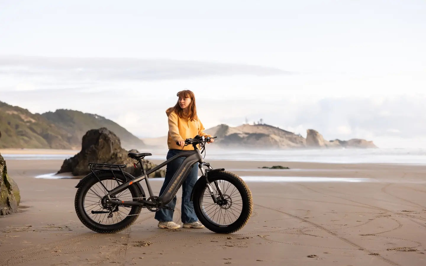 What Is Best Step-Thru Electric Cargo Bike For Families? – HOVSCO